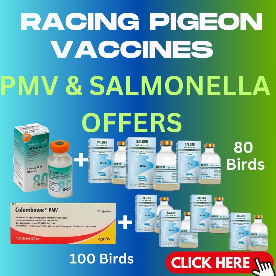 Racing Pigeon Laboratory Testing