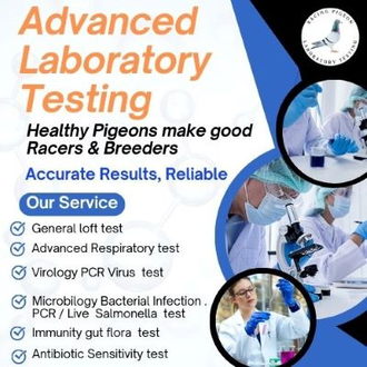 Racing Pigeon Laboratory Testing