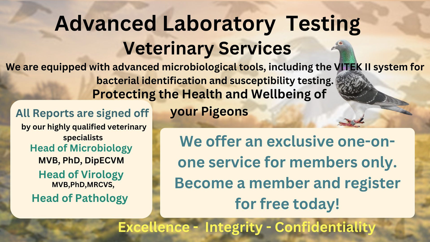 Racing Pigeon Laboratory Testing