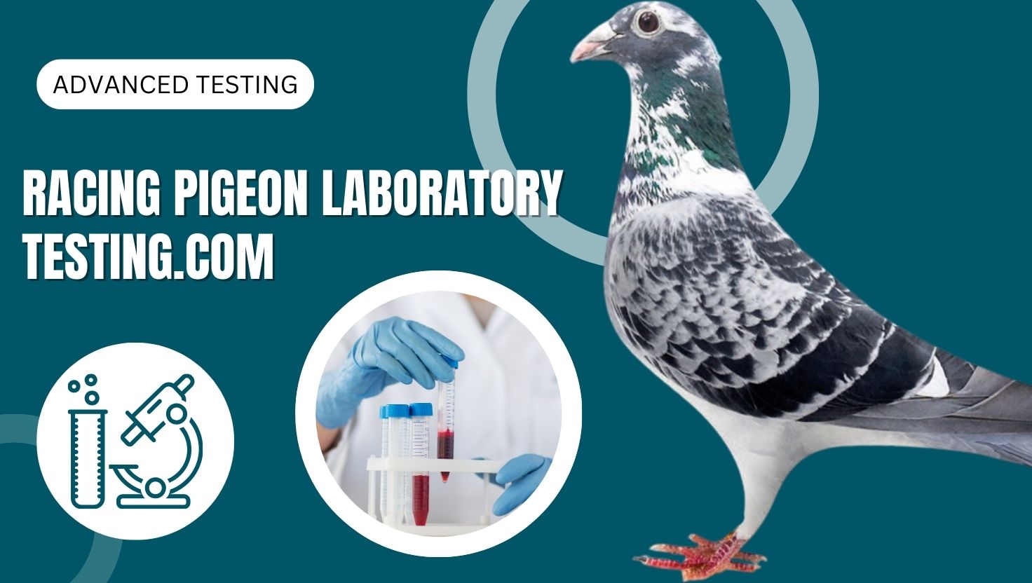 Racing Pigeon Laboratory Testing