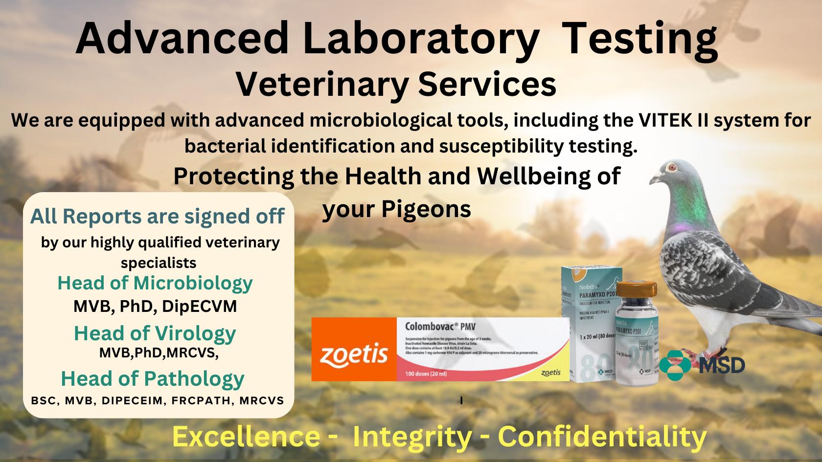 Racing Pigeon Laboratory Testing