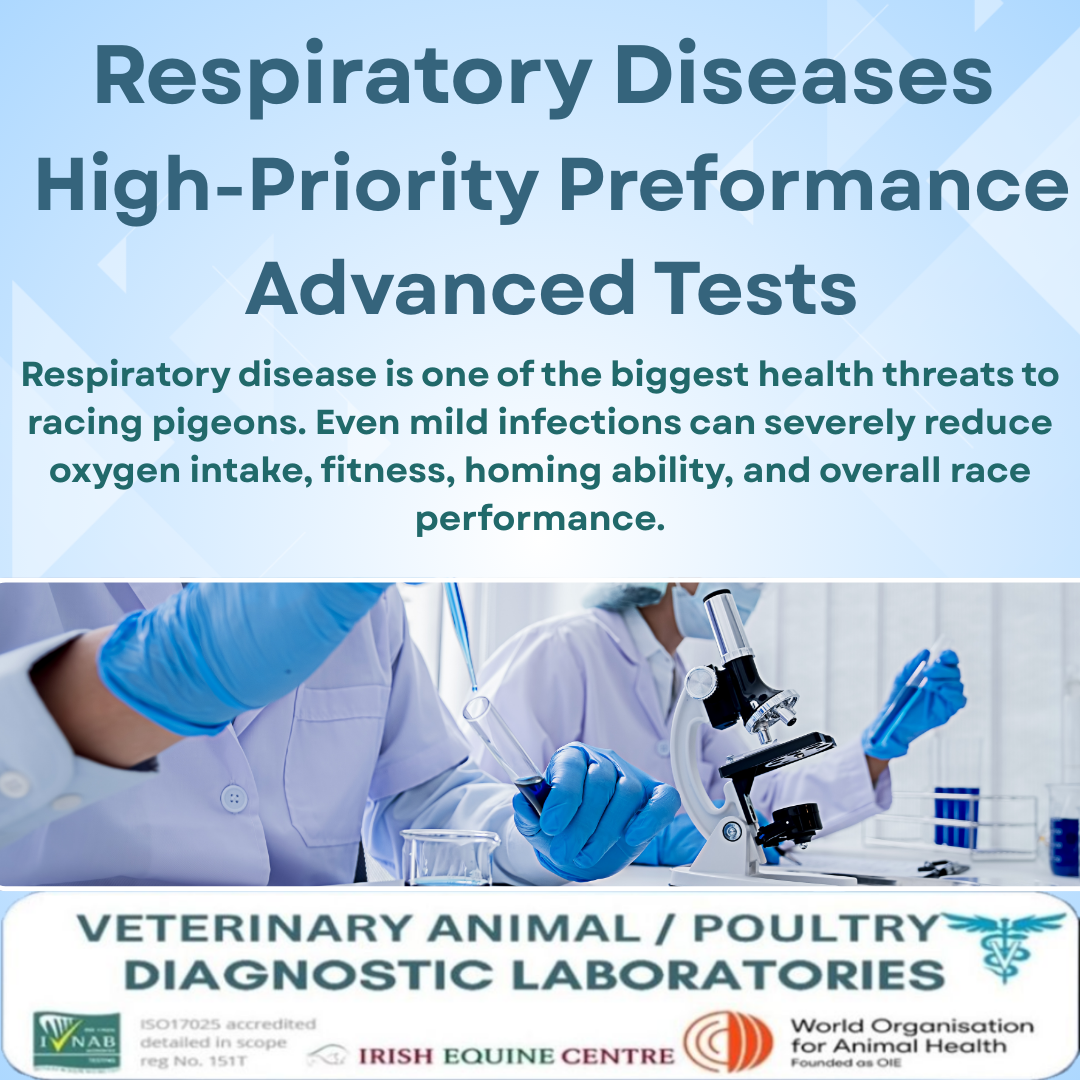 Respiratory Chronic respiratory by Racing Pigeon Laboratory Testing.co